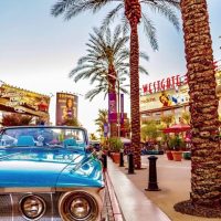 Free Weekly Events Return to Westgate - Nightlife