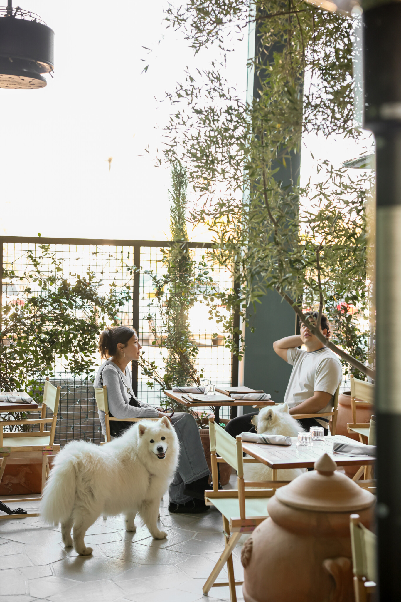 Sogno Toscano: A Taste of Tuscany Opens in Arcadia
