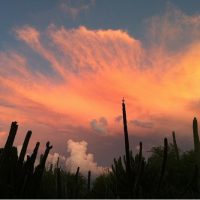 Best Places to Watch the Sunset in Phoenix